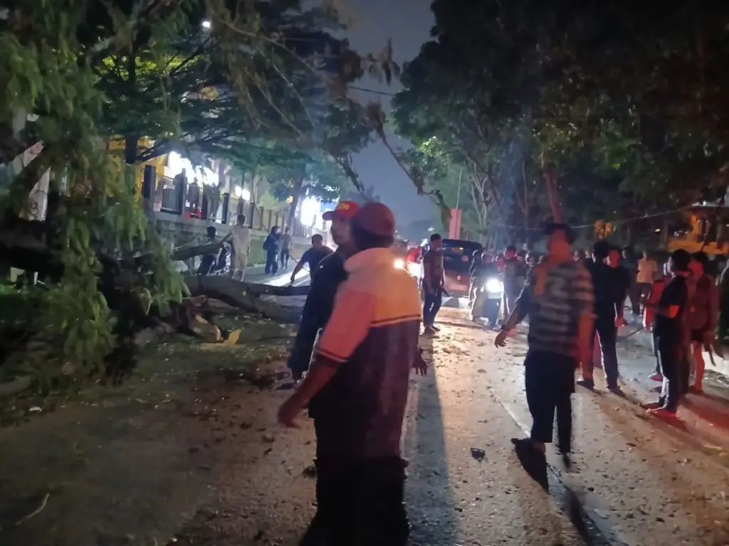 Pohon Tumbang di Depan Unpad Jatinangor, Lima Pengendara Motor Jadi ...